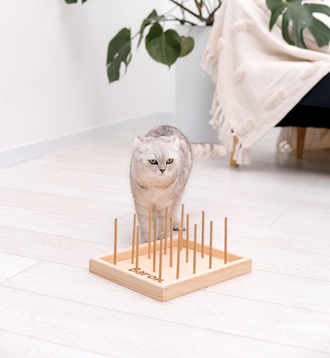 Wooden Cat Chew Toys, Cat Interactive Toys, Cat Toys Box, Cat Toys ...