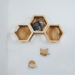 Cat Hexagon Shelves Wood Wall Furniture for Cats Wall Mount - Etsy