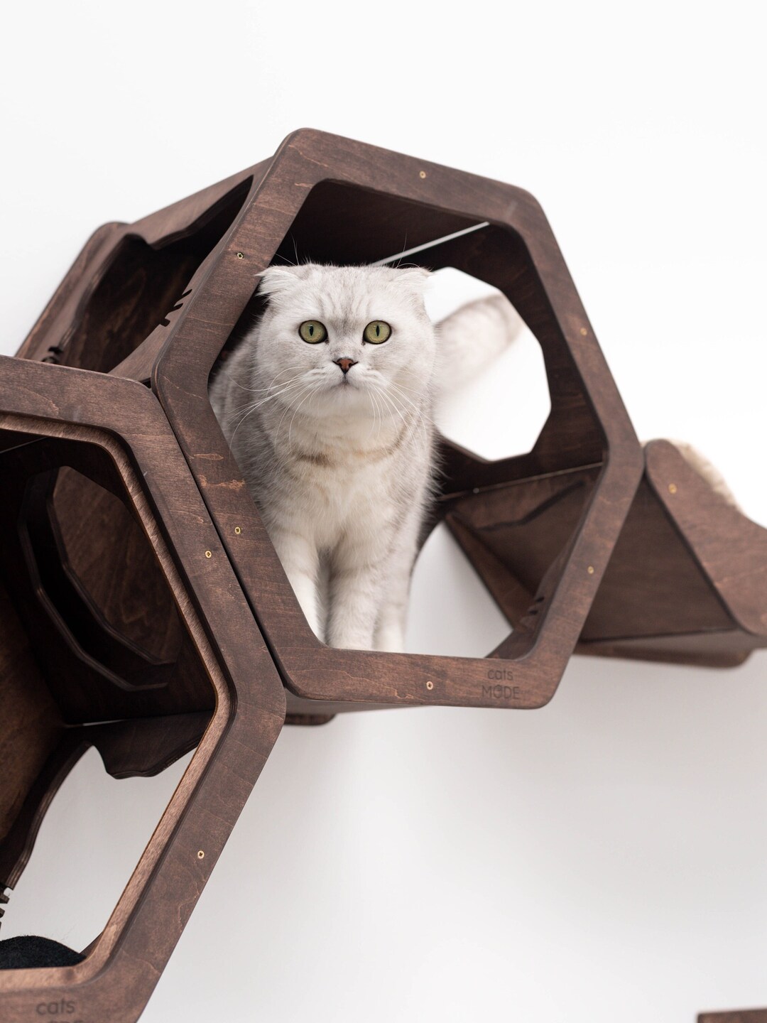 Cat Furniture, Cat Wall Hexagon, Cat Set, Cat Shelves for Wall, Cat ...