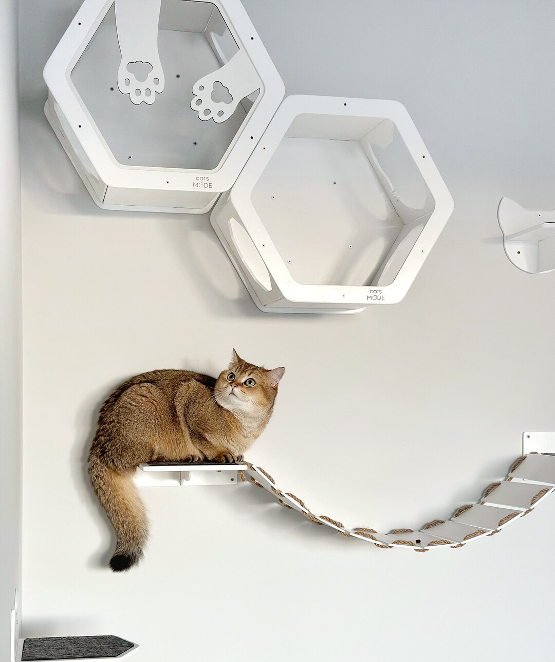 White Cat Bridge, Cat Wall Furniture, Cat Wall Steps, Cat Wall Shelves ...
