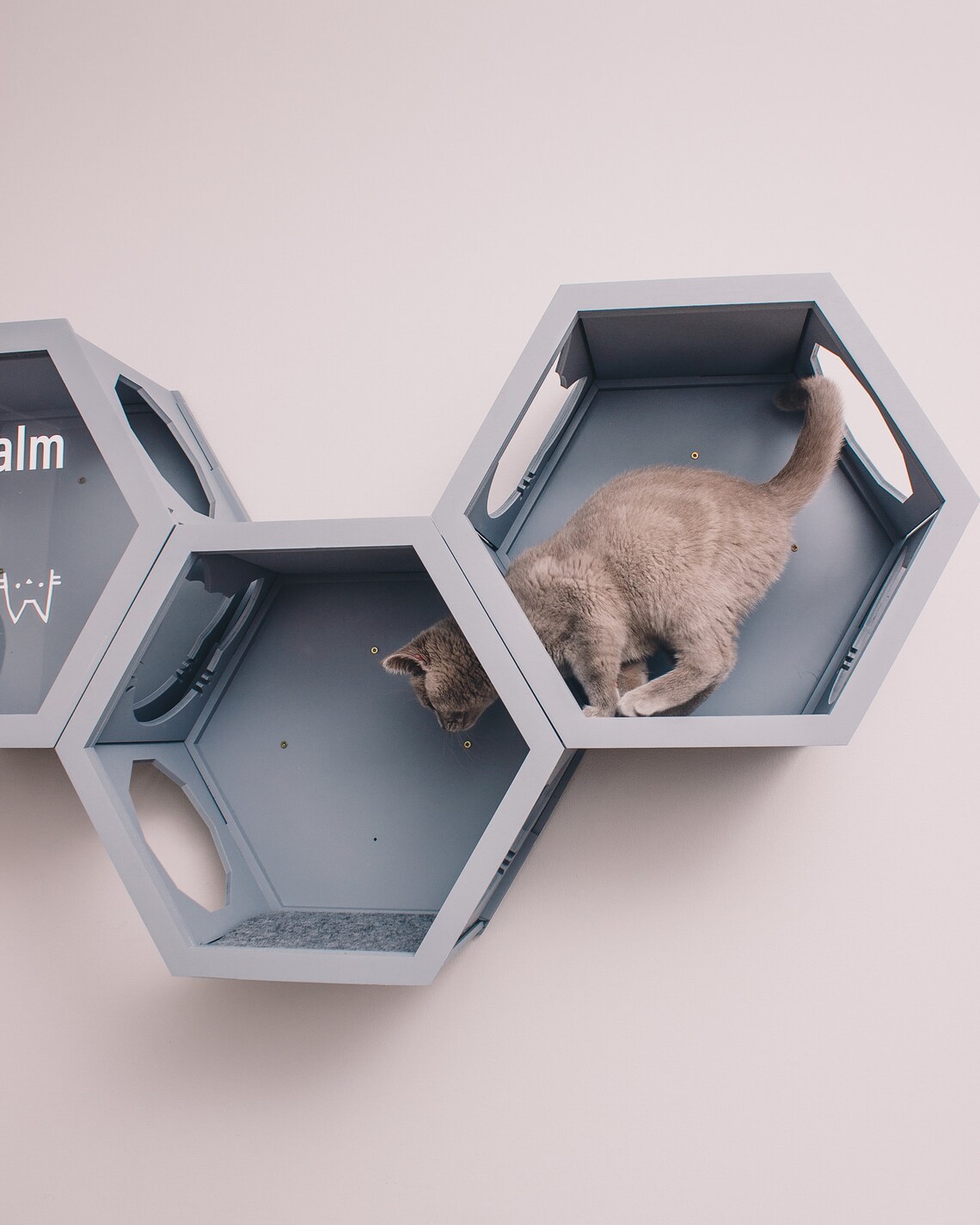 Cat Wall Shelves Wooden Pet Furniture Hexagon Cat Shelves | Etsy