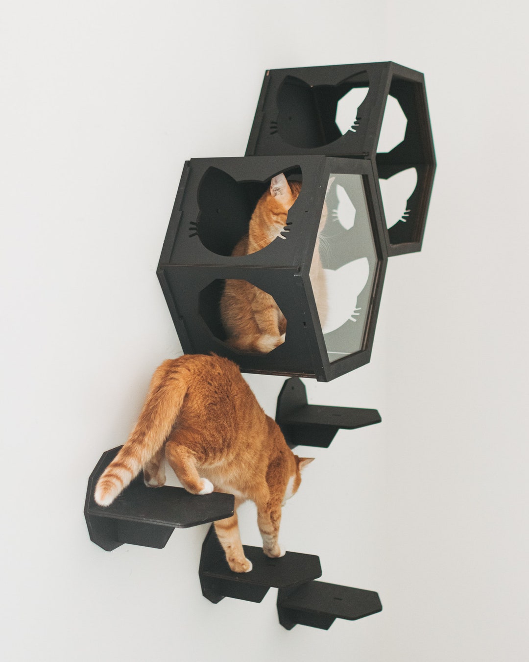 Playground Cat Wall, Cat Wall Tunnel, Cat Climb Wall, Cat Shelf ...