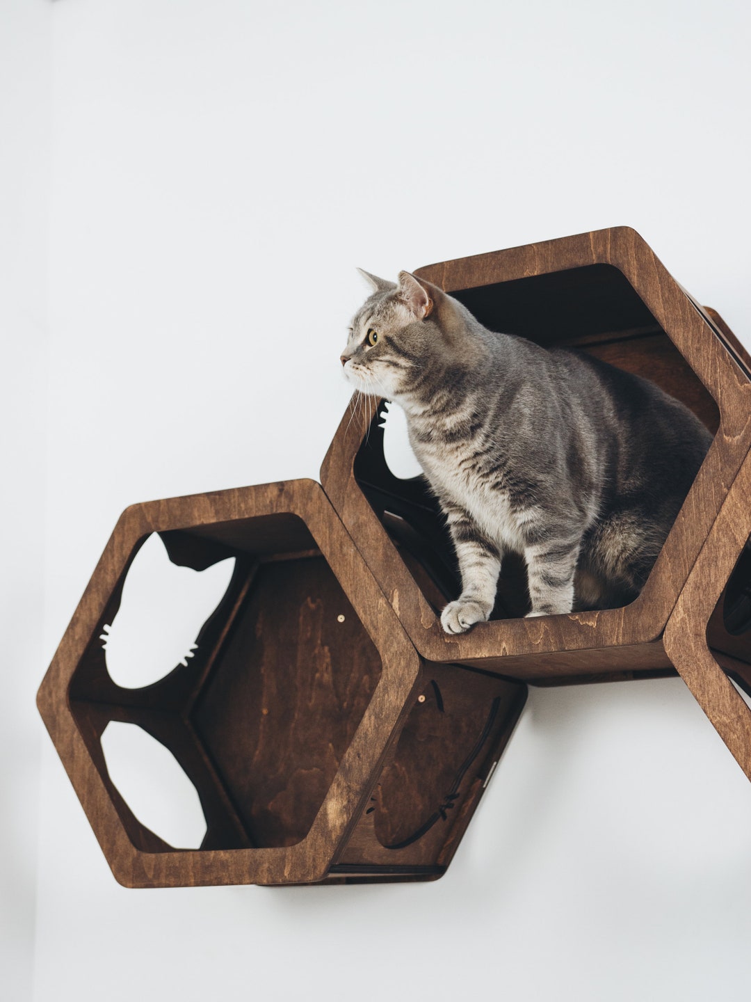 Cat Hexagon Shelves, Wood Wall Furniture for Cats, Wall Mount Shelf ...