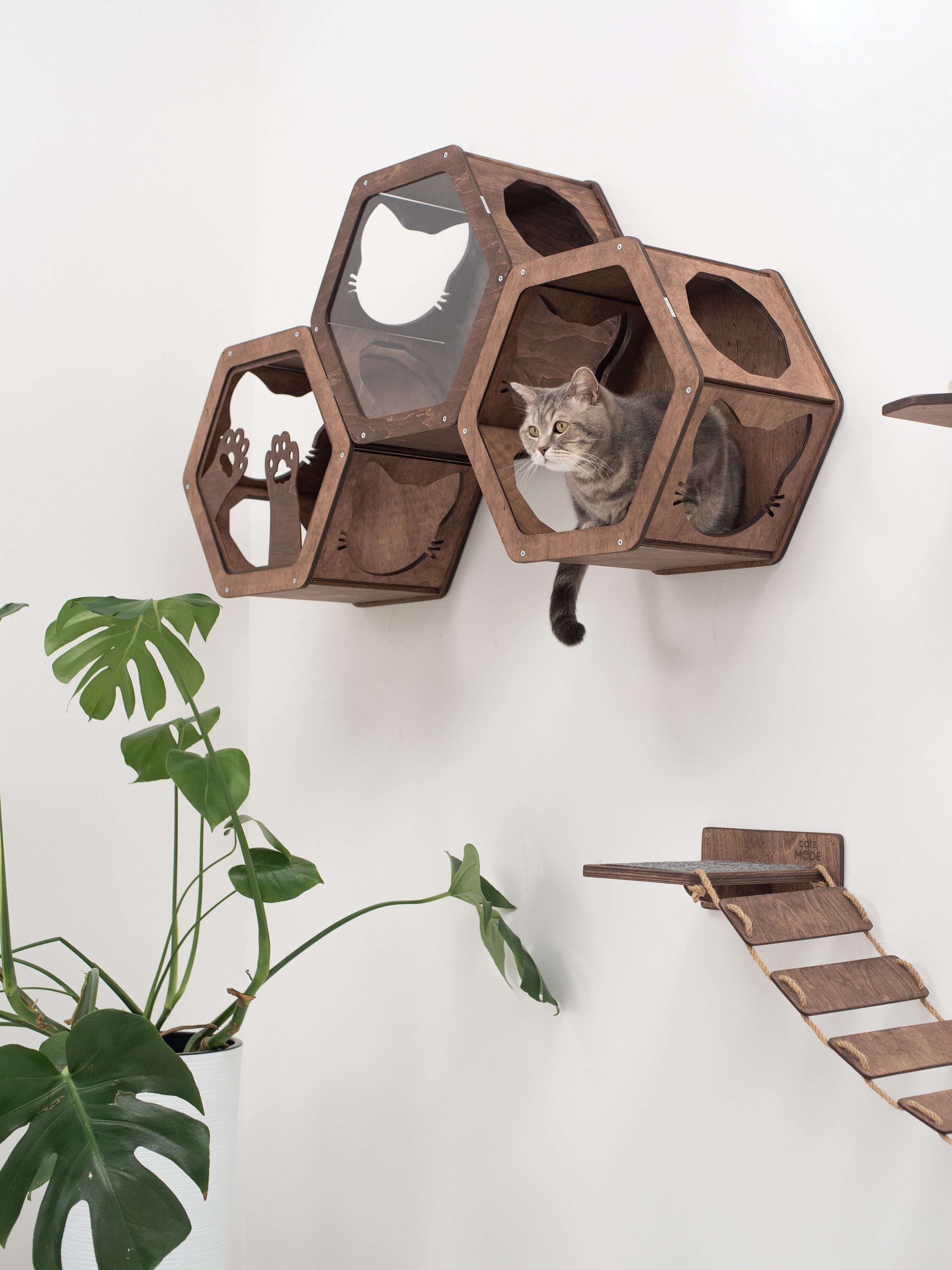 Cat Hexagons Shelves, Wood Wall Furniture Set, Cat Shelf, Play House ...