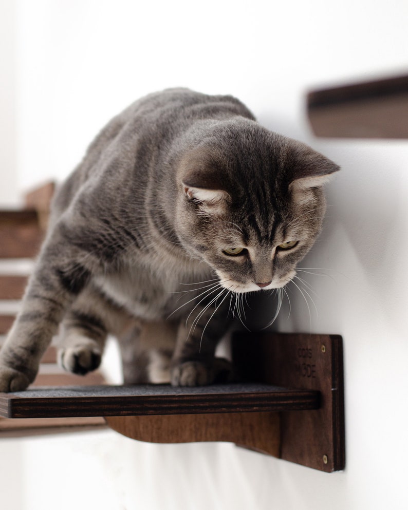 Cat Wall Bridge Cat Wall Furniture Cat Wall Steps Cat Wall - Etsy