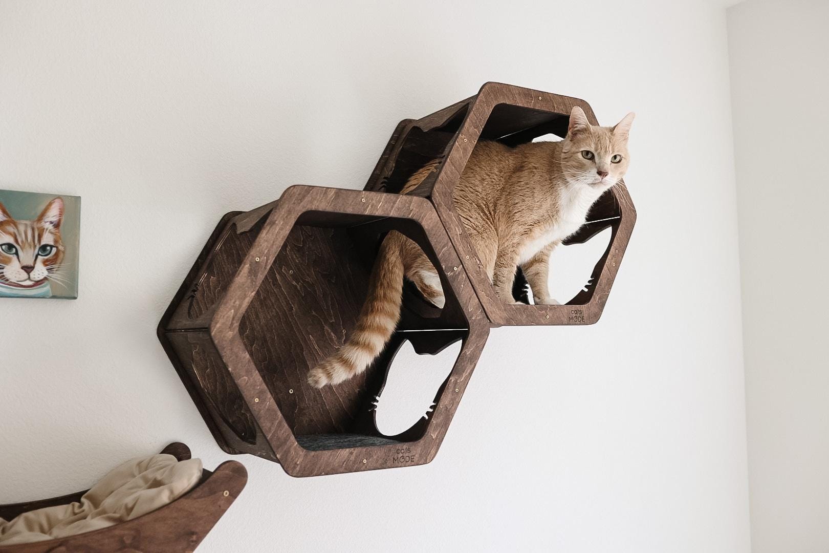 Wood Cat Shelf, Cat Wall Shelves, Cat Wall Furniture, Cat Wall Climbing ...