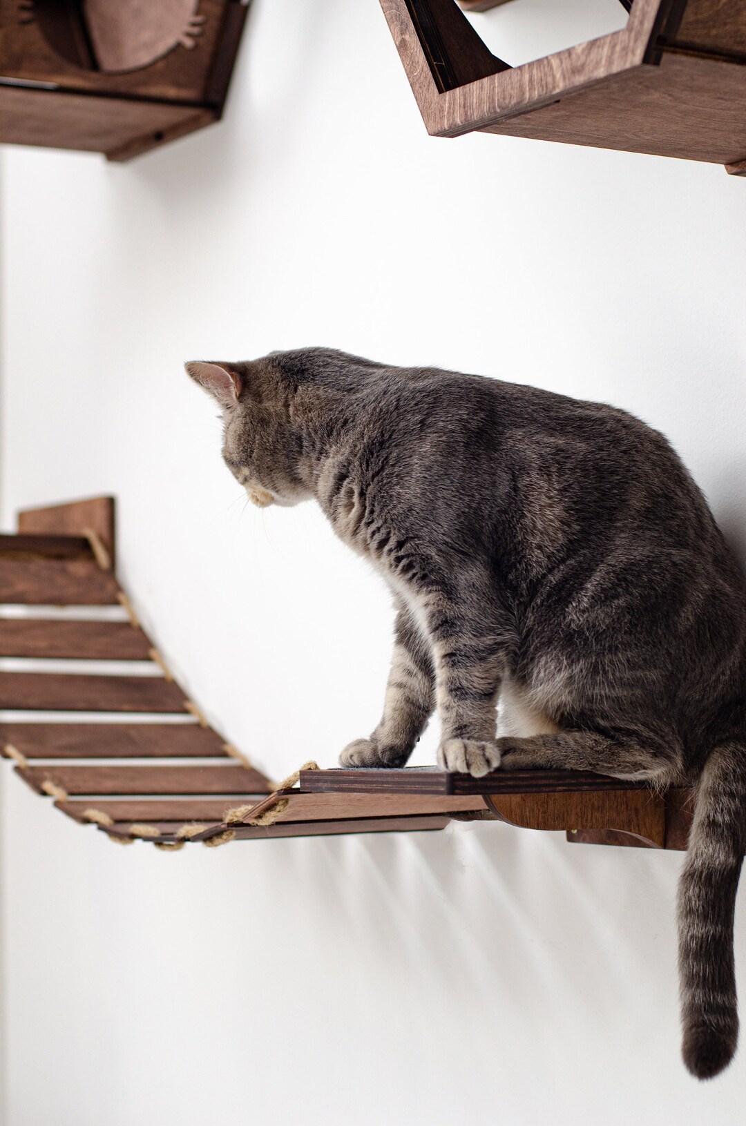 Cat Climber Wall Cat Bridge Modern Cat Shelves Bridge Cat - Etsy