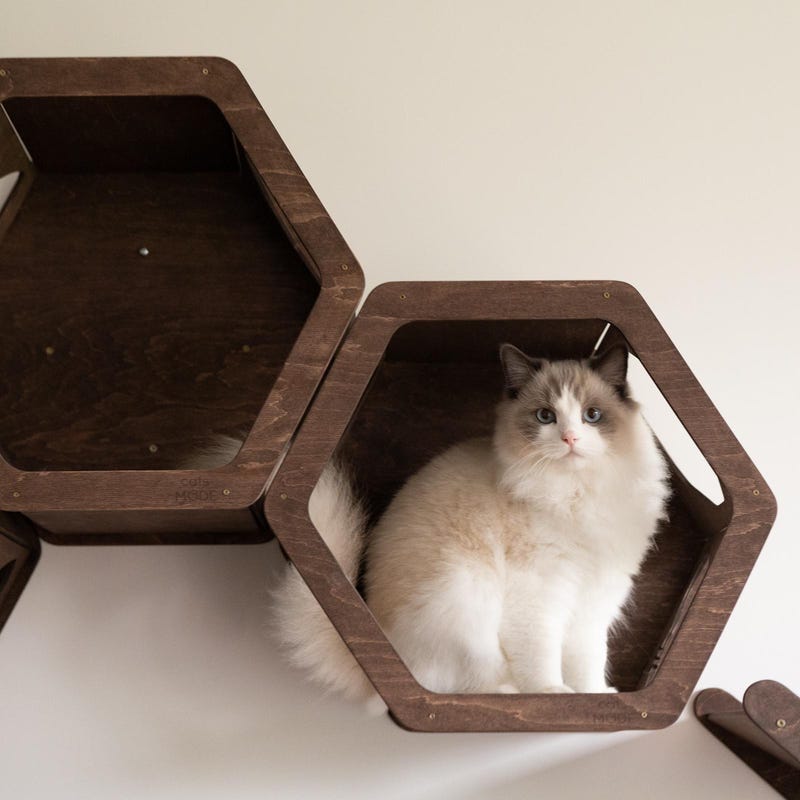 Cat Hexagon Shelves - Etsy