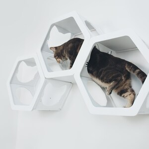 Playground Cat Wall, Cat Wall Tunnel, Cat Climb Wall, Cat Shelf ...