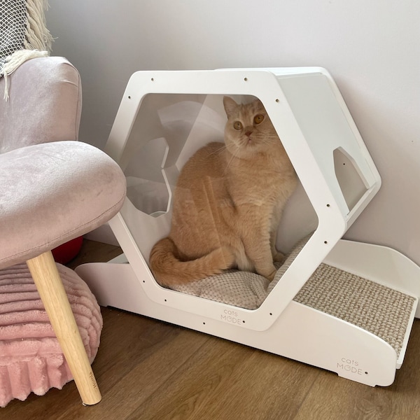 Cat Feeding Station - Etsy