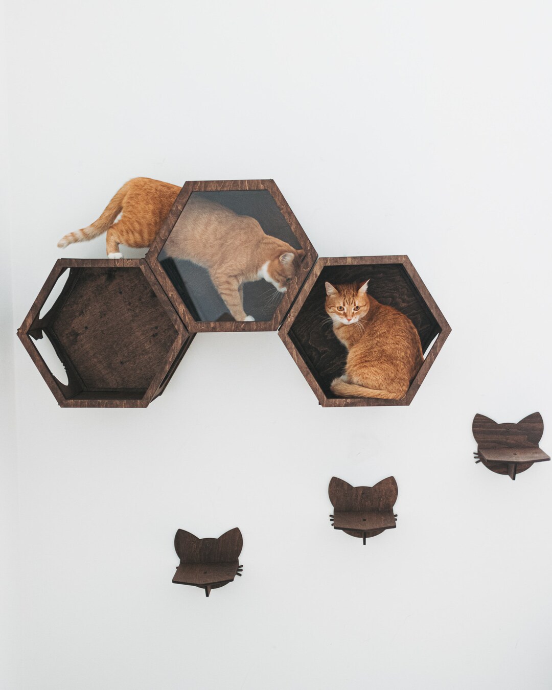 Cat Wall Set Cat Play Furniture Cat Wall Activity Set Cat - Etsy