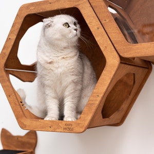 Cat Wall Mount Furniture, Cat Wall Bed, Wooden Cat Hexagon Shelves ...