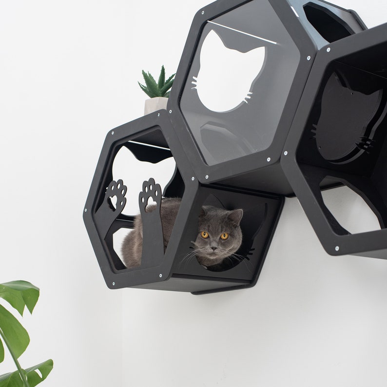 Modern Cat Furniture, Cat House Wall, Wall Shelves for Cat, Cat Shelves ...