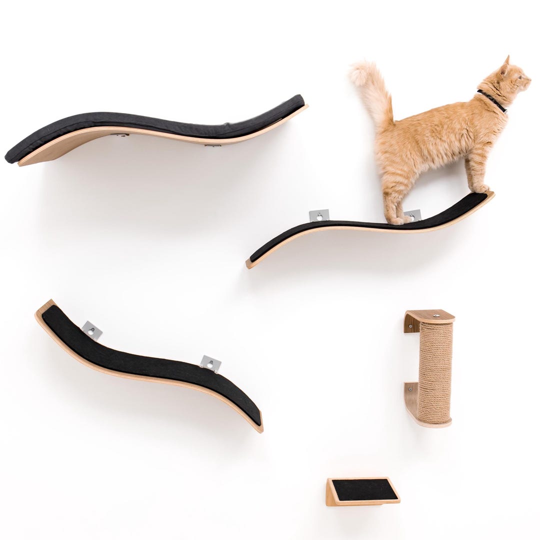 Curved Cat Wall Playground, Pet Furniture, Cat Shelves Set for Climbing ...