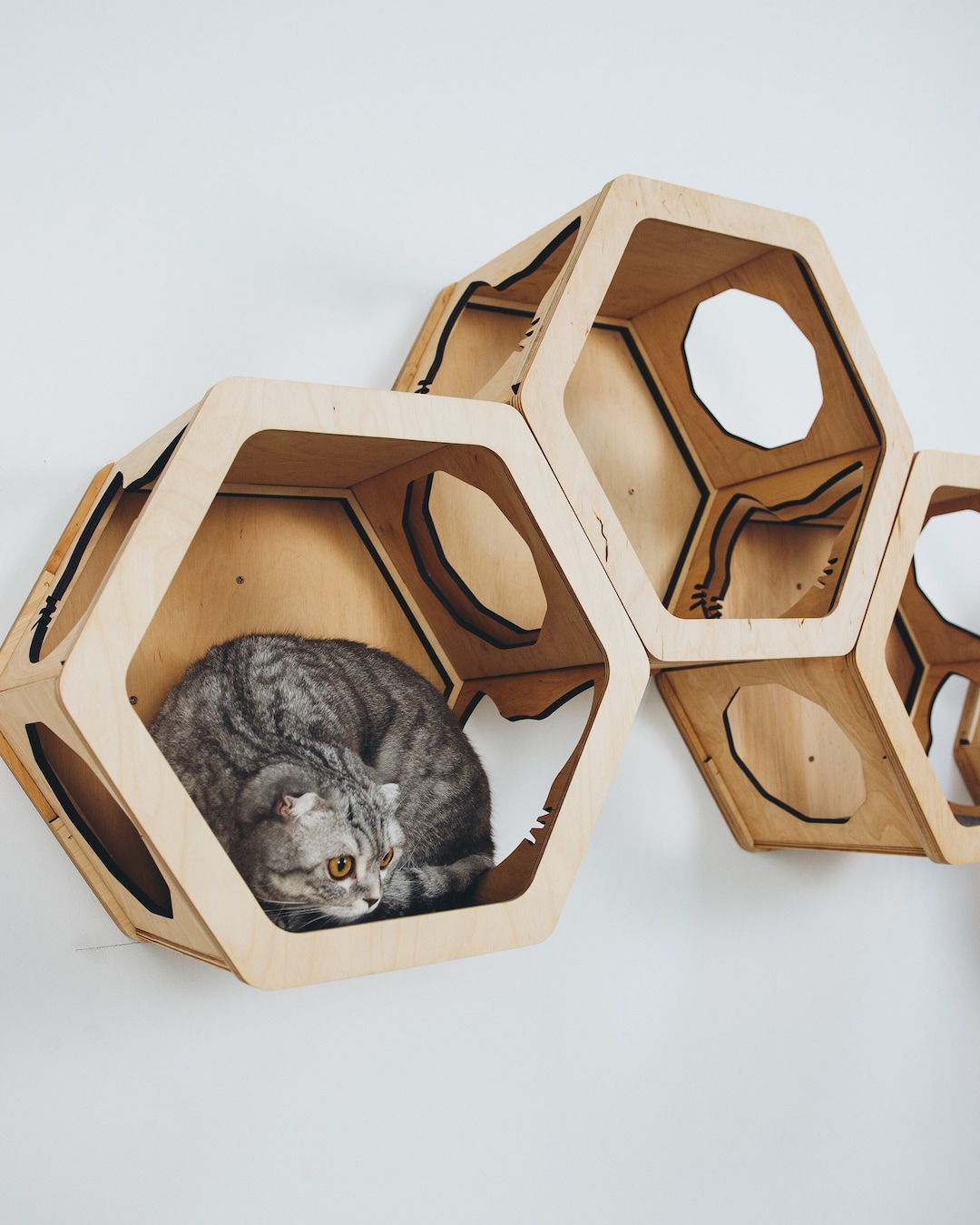 Wooden Cat Hexagon Shelves, Luxury Cat Furniture, Cat Wall Perch, Pet ...