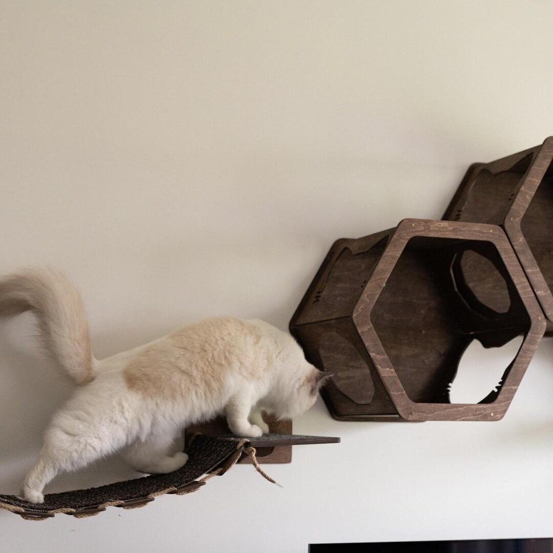 Cat Hexagon Shelves, Cat Wall Shelves, Cat Wall Steps, Cat Wall Bridge ...