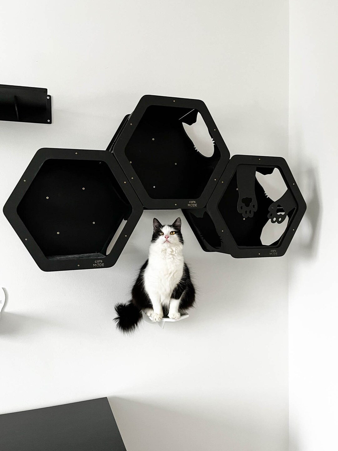 Cat Wall Furniture, Cat Wall Shelves, Set House for Cat Gift for Cat ...