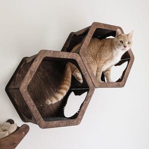 Cat Hexagon Shelves, Wood Wall Furniture for Cats, Wall Mount Shelf ...