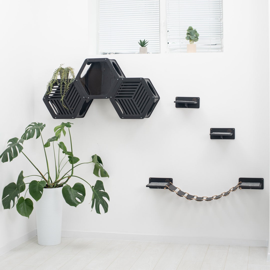 Cat Wall Furniture Set Cat Wall House Cat Hexagon Shelves - Etsy