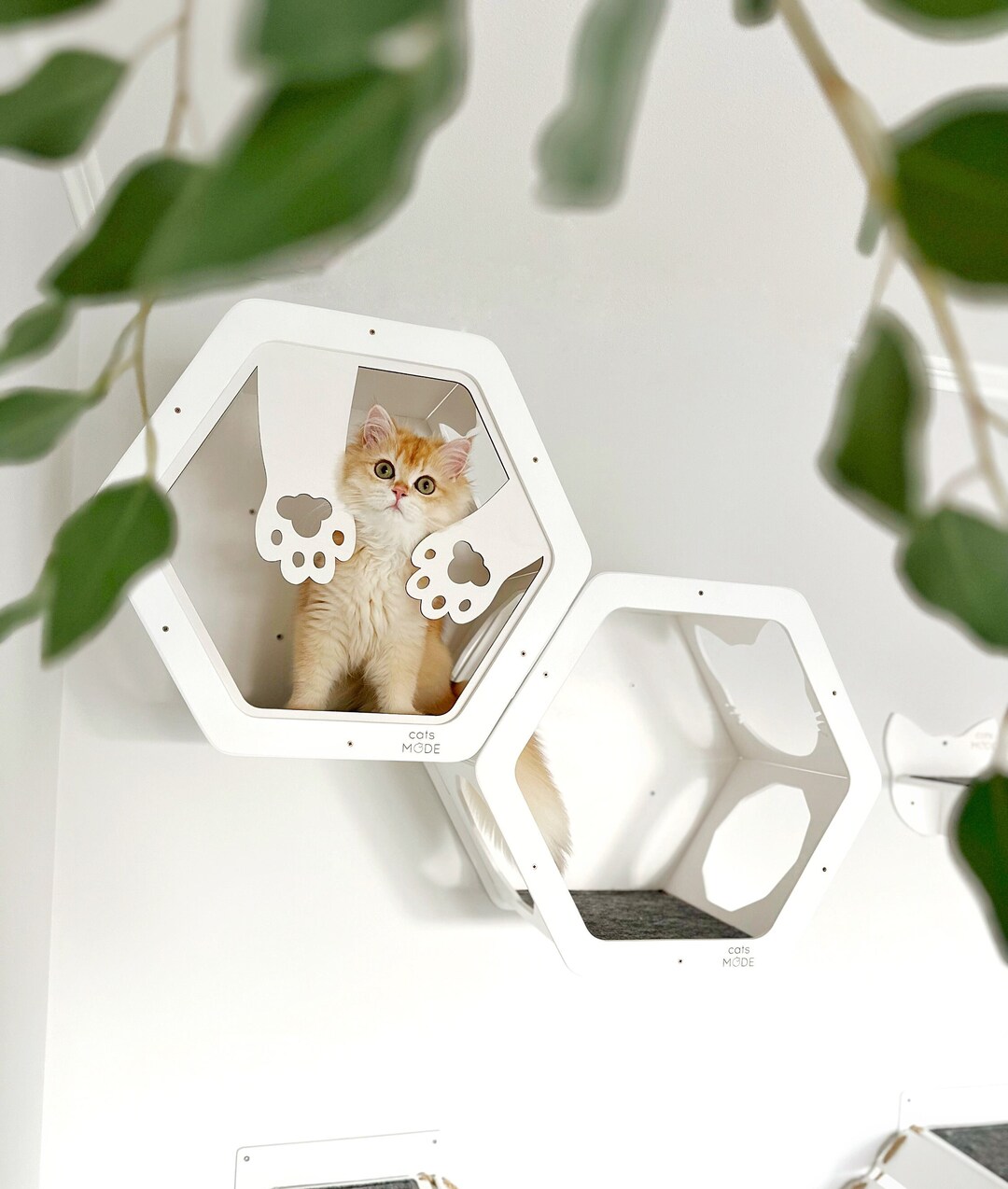 White Cat Hexagon Set, Modern Cat Furniture, Wall Cat Bed, Kitten ...