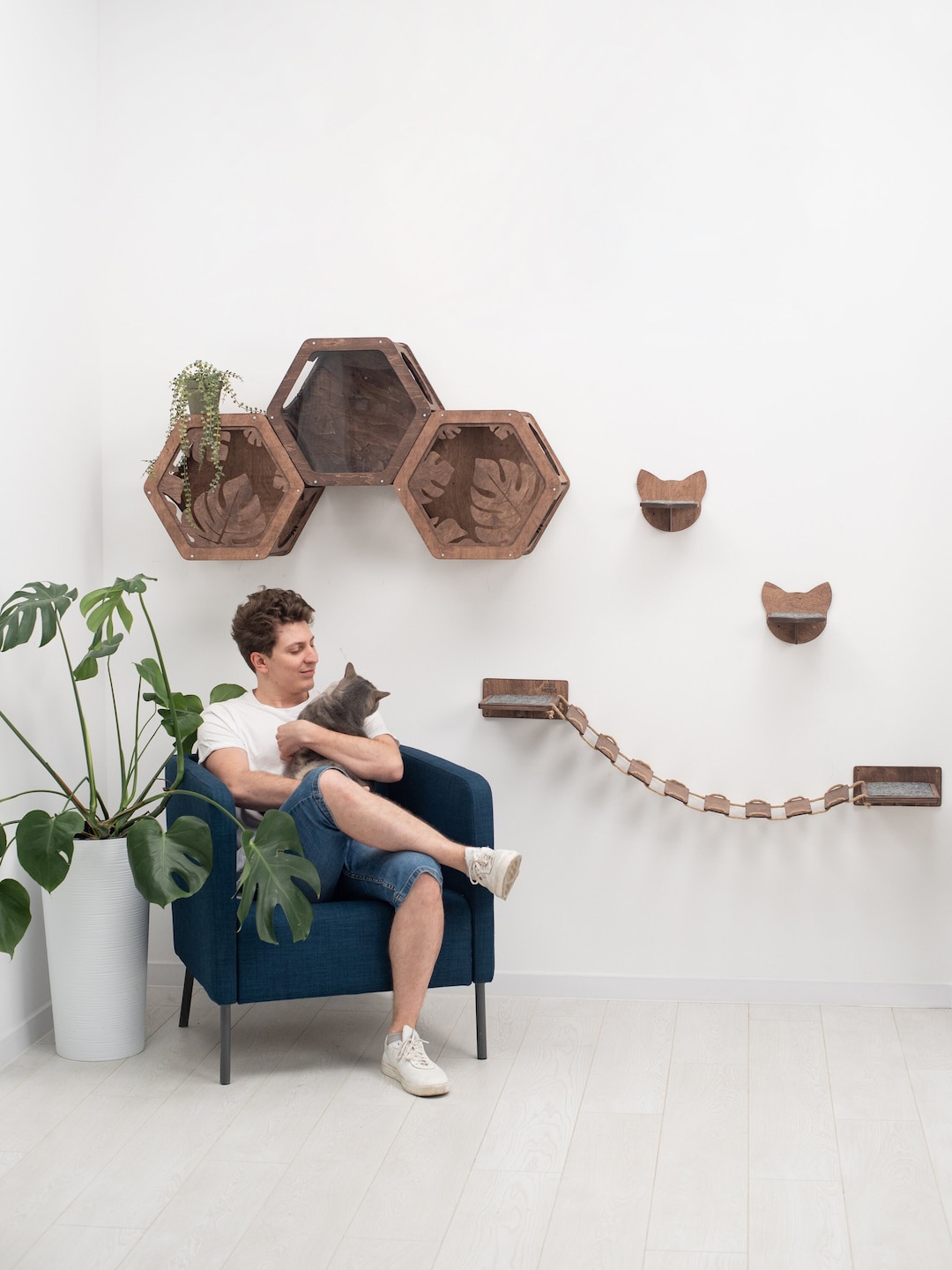 Cat Wall Furniture Full Set, Cat Wall Shelves, Cat Wall Bed, Cat Wall ...