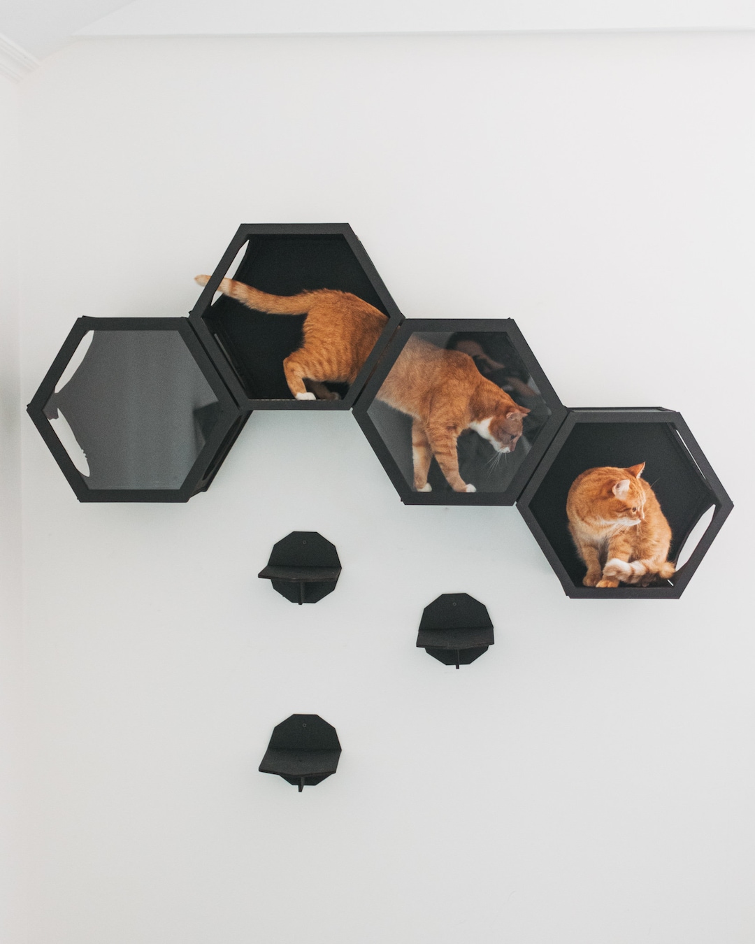 Cat Wall Hexagon Shelves Set, Modern Cat Furniture, Cat Activity Center ...