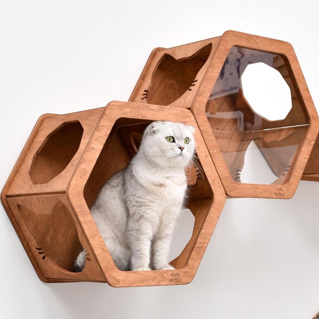 Acrylic Cat Wall Hexagon, Cat Acrylic Shelves, Cat Shelf, Cat Wall ...