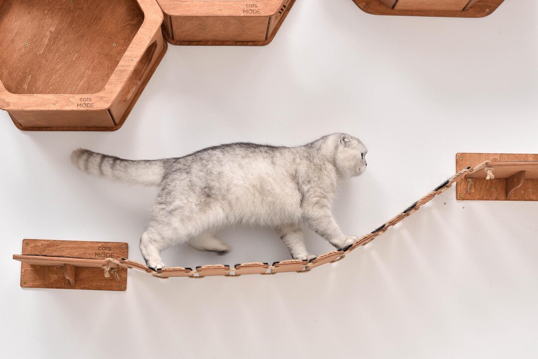 Modern Cat Bridge for Wall, Wall Mounted Bridge With Felt, Cat Lover ...