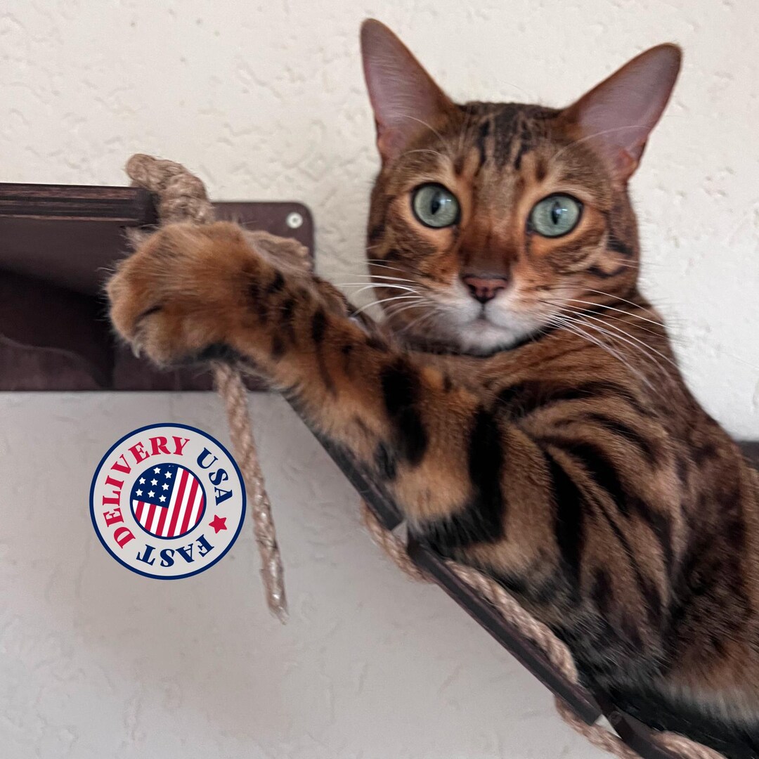 Cat Wall Bridge, Cat Ceiling Playground, Wood Cat Furniture, Cat Wood ...