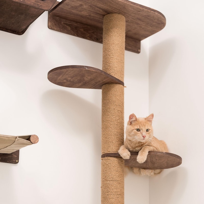 Corner Scratching Post - Etsy