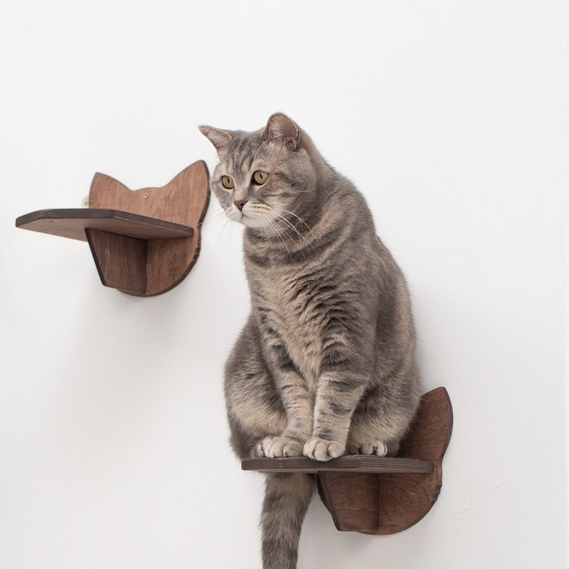 Cat Walk Furniture - Etsy