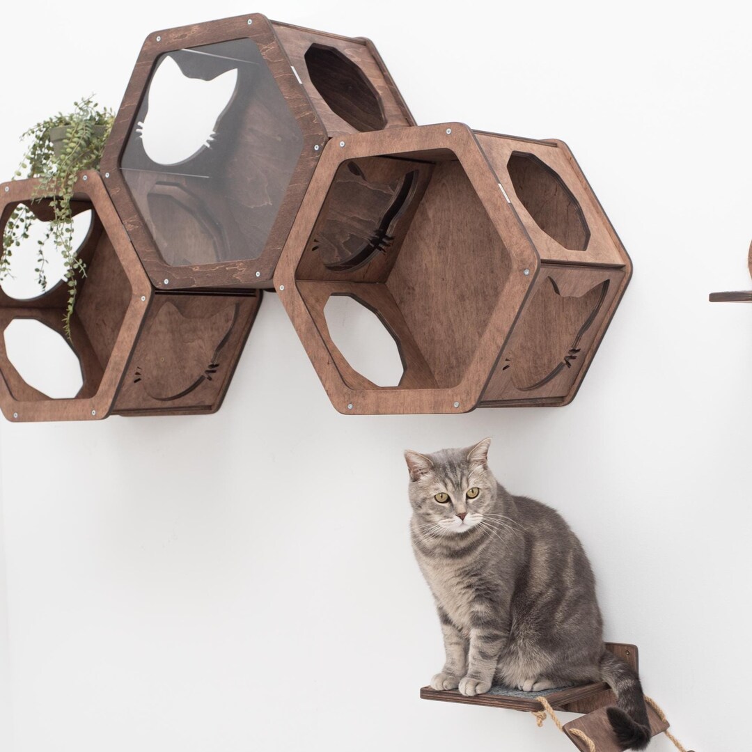 Cat Wall Mount Furniture, Cat Wall Bed, Wooden Cat Hexagon Shelves ...