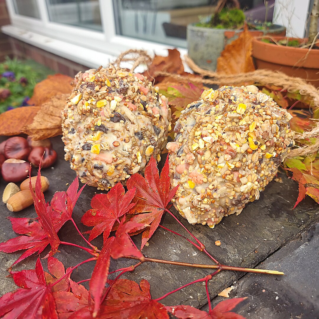 X2 Mega Suet Pine Cone Bird Feeders, Eco Friendly and Recycled ...
