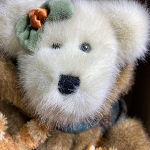 Vintage Boyds Bear Exclusive Edition Fern Woodsbeary With - Etsy