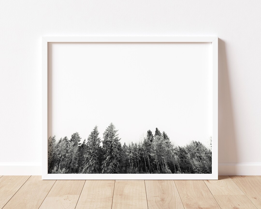 Snow Covered Tree Line, B&W , Fine Art Print, Winter Scene, Gallery ...