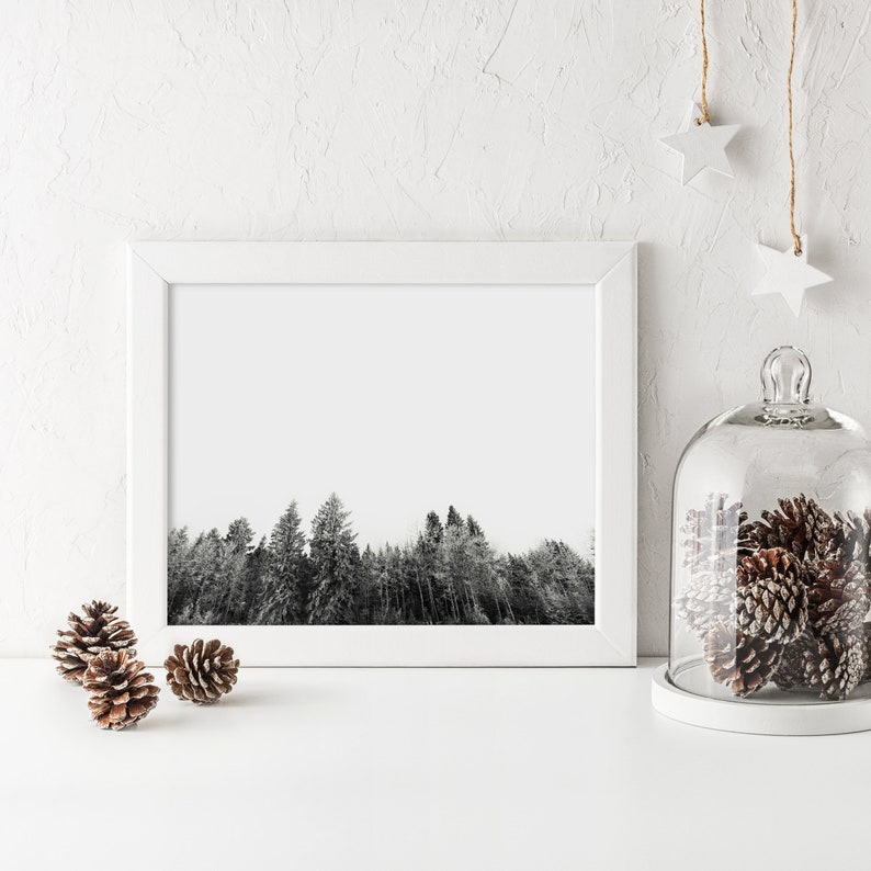 Snow Covered Tree Line, B&W , Fine Art Print, Winter Scene, Gallery ...
