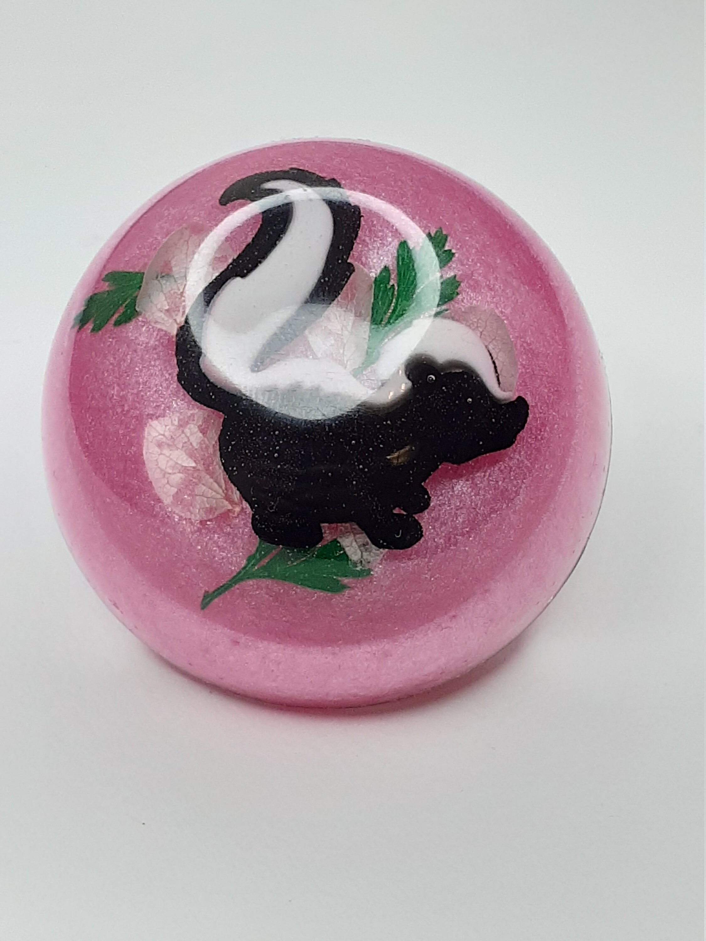 Handmade Resin Magnet, Skunk Magnet, Pink Resin Magnet With Skunk ...