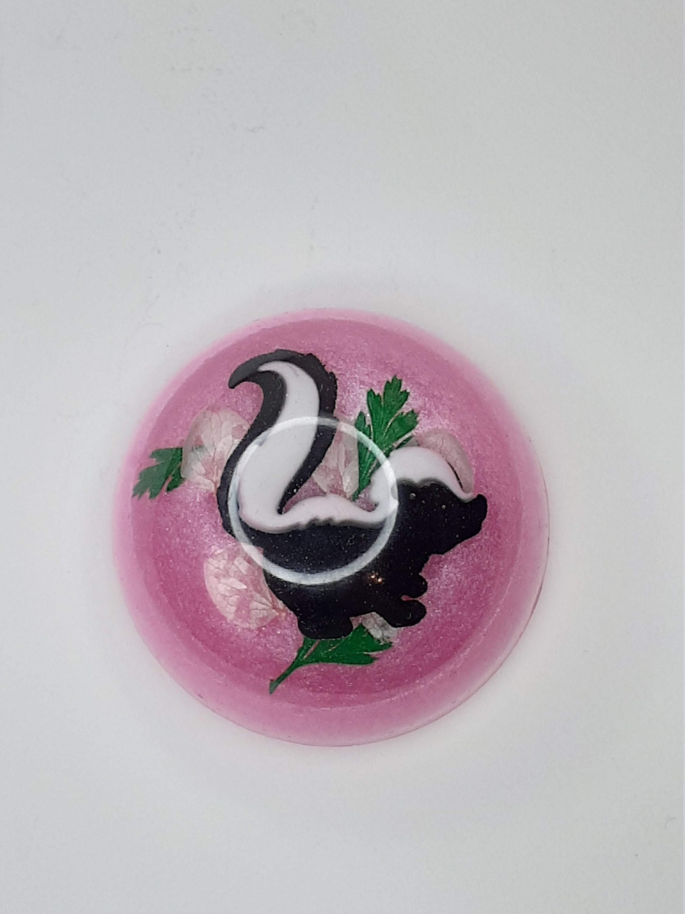 Handmade Resin Magnet, Skunk Magnet, Pink Resin Magnet With Skunk ...