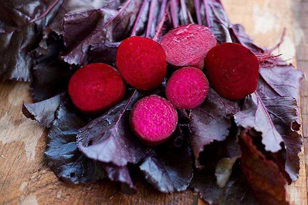 Bull's Blood Beet Seeds - Etsy
