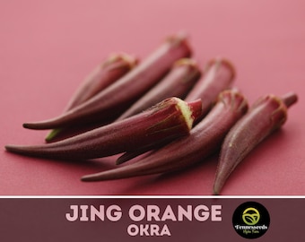 Jing Orange Okra Seeds, Jing Abelmoschus Esculentus AB0630 - Etsy