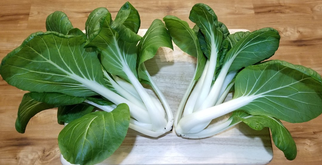 Pak Choi White Stem - Etsy
