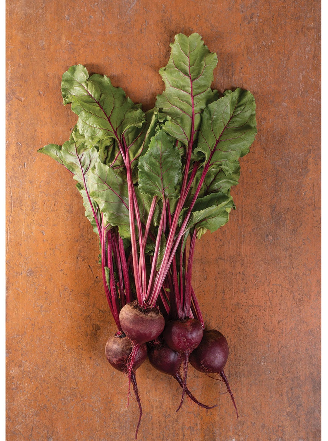 Early Wonder Tall Top Beet Seeds - Etsy