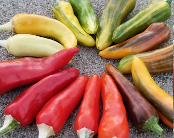 Fish Pepper Seeds - Etsy