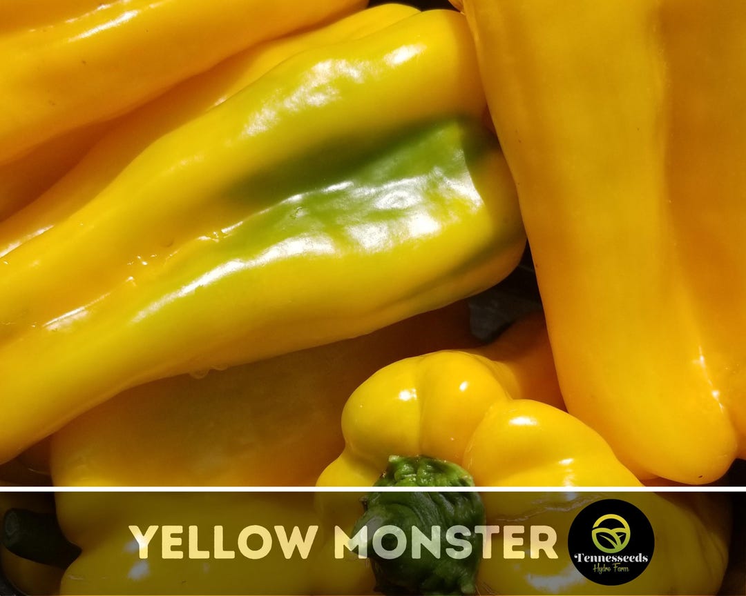 Yellow Monster Pepper Seeds - Etsy