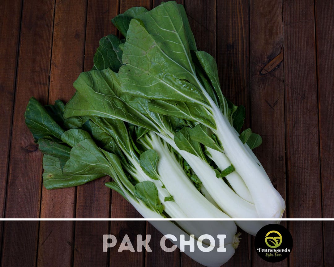 Pak Choi White Stem - Etsy