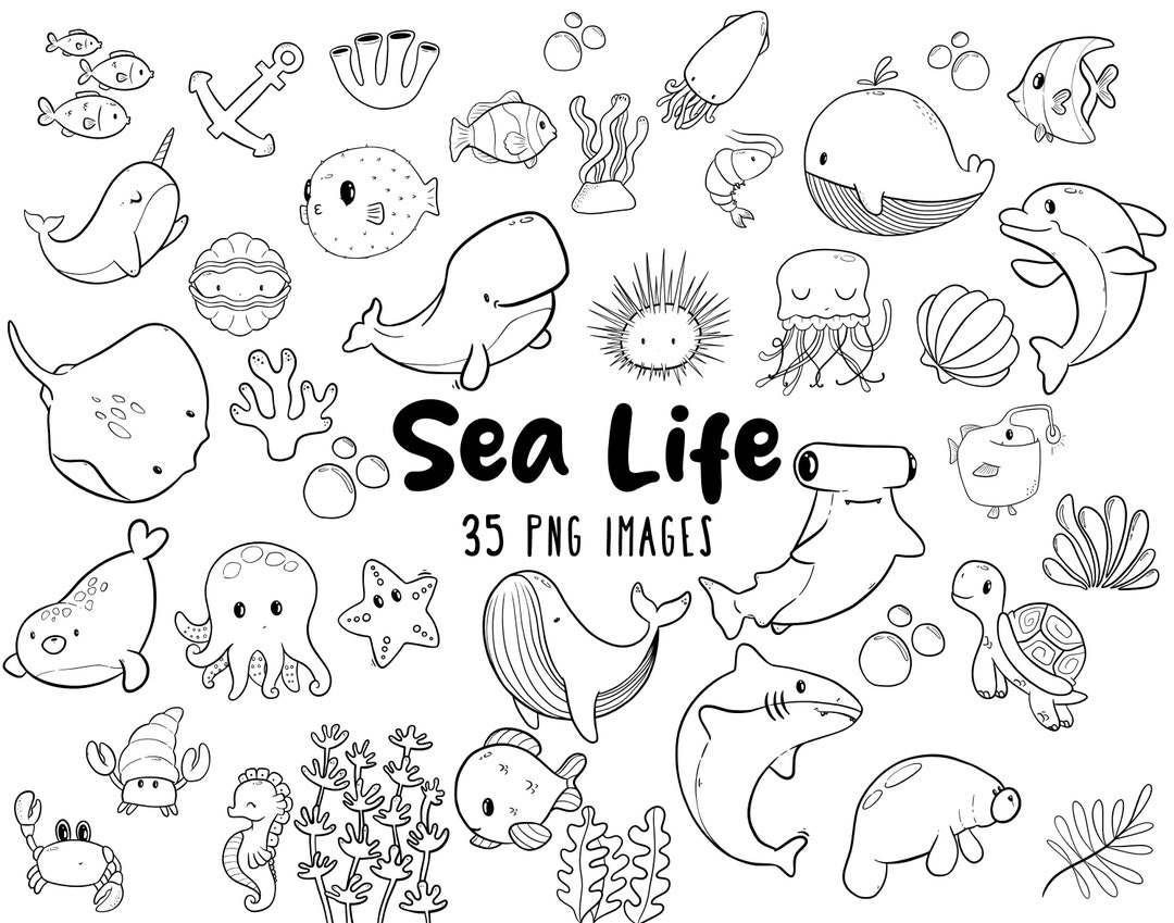 Sea Life Clipart, Marine Animals, Underwater World, Aquarium, Outline ...