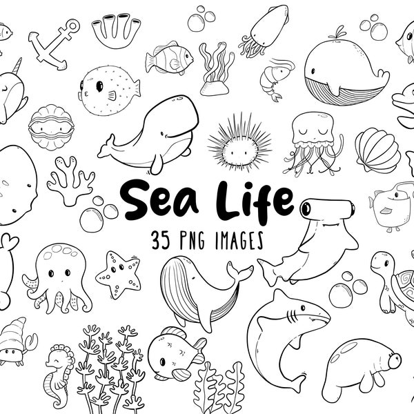 Sea Life Drawing - Etsy