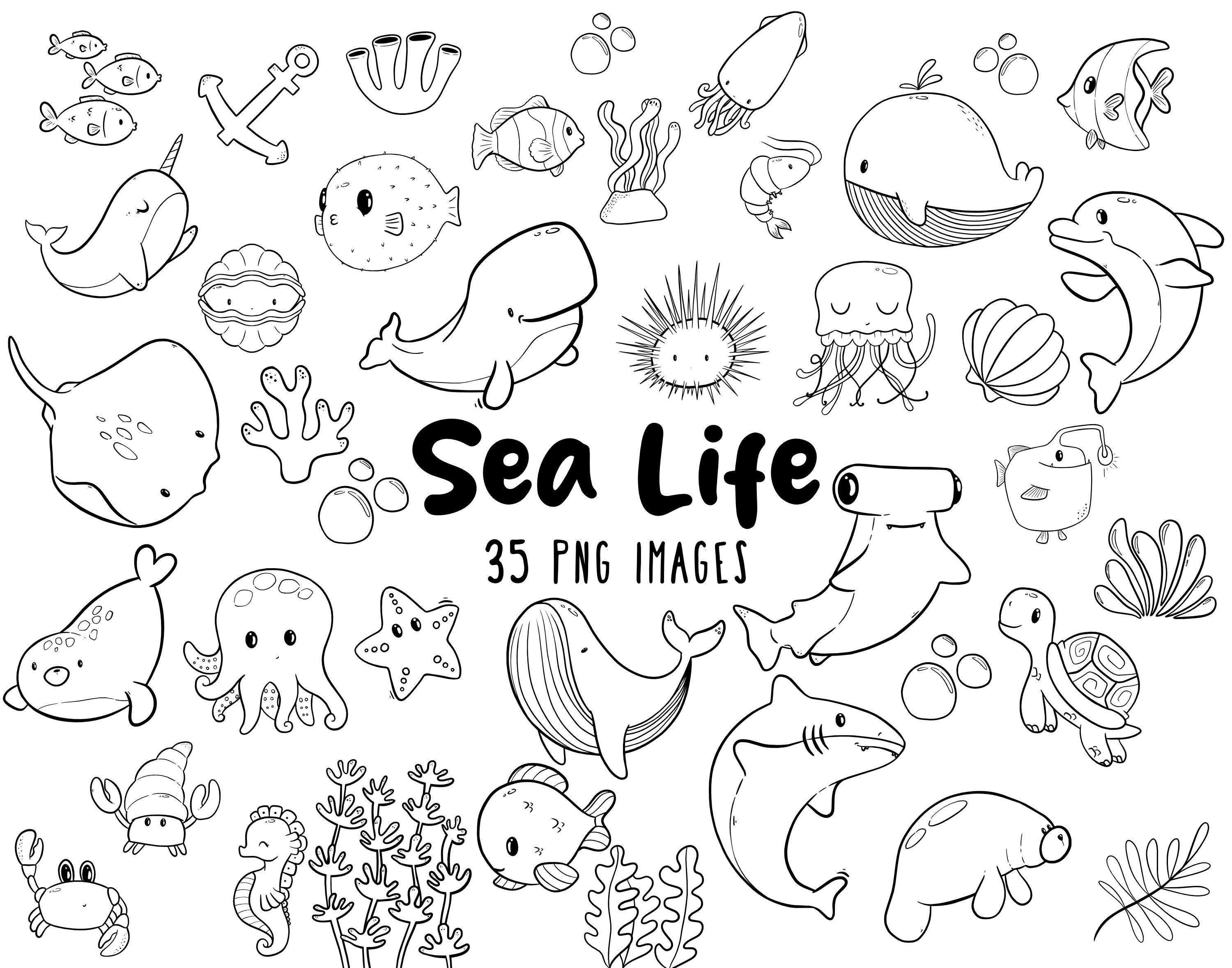 Sea Life Clipart Black And White
