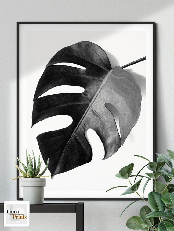Monstera Deliciosa Print Digital Download Monstera Leaf | Etsy