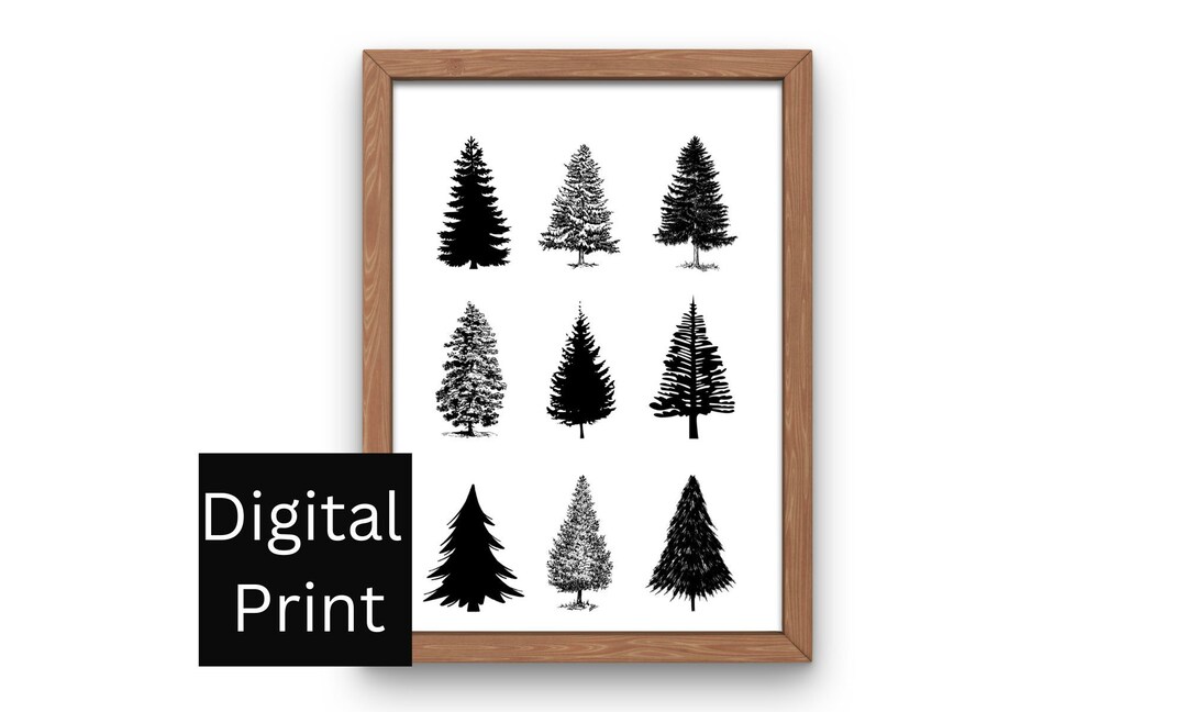 Evergreen Tree Print Printable Black and White Tree Print - Etsy